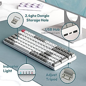 RK ROYAL KLUDGE RK100 Wireless Mechanical Keyboard RGB Backlit Bluetooth5.1/2.4G/Wired 96% Full Size 100-Key Hot-swap Gaming Keyboard with 3 USB Ports Brown Switch for Mac Windows Classic