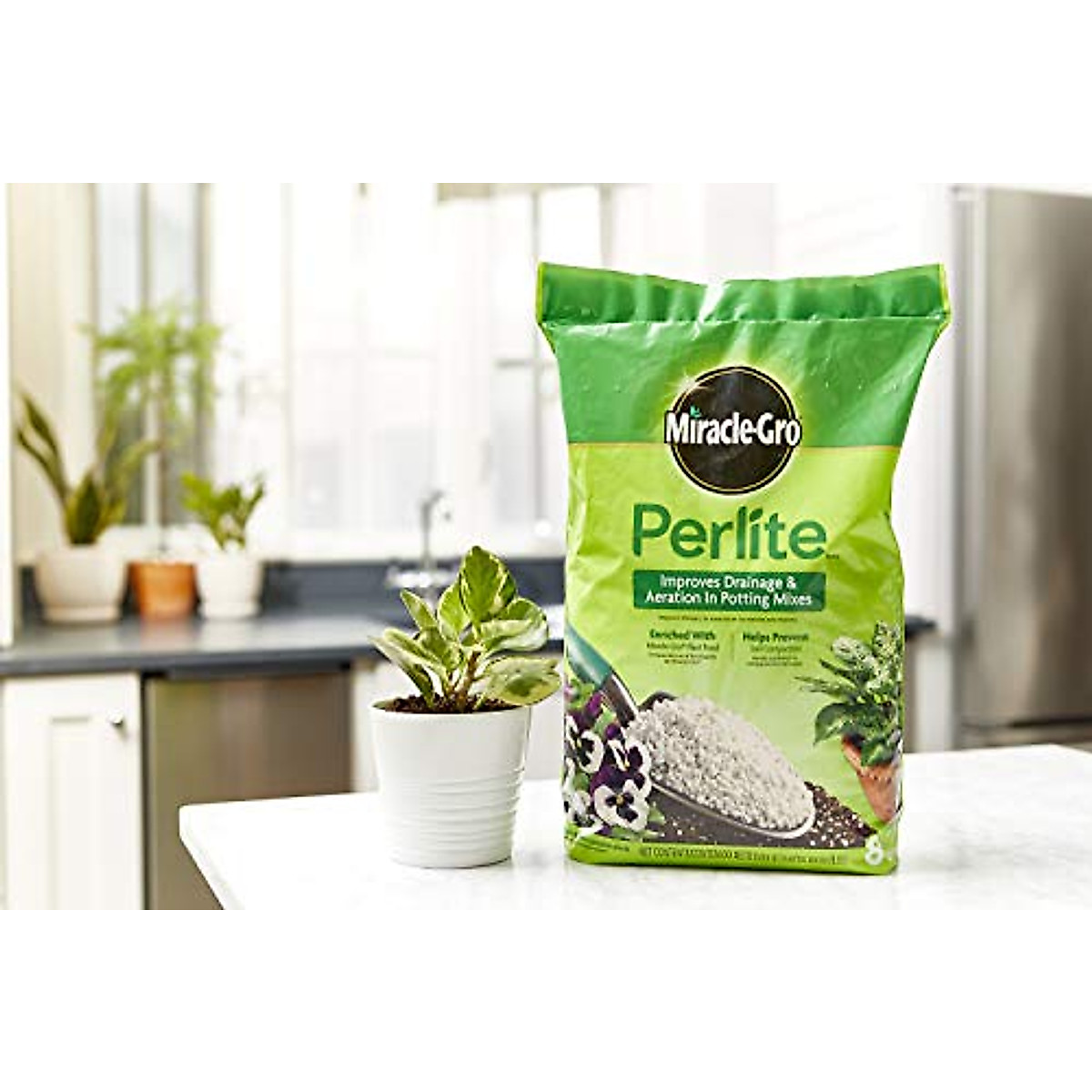 Scotts Perlite, 8 qt., 2-Pack