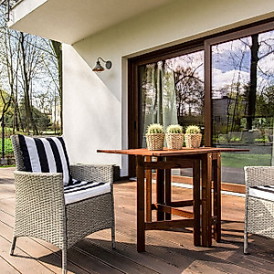 Windex Outdoor Glass & Patio Concentrated Cleaner, 2 ct, 32 fl oz