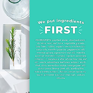 Dr. Brite Natural Whitening Vitamin C Mouthwash with Mint and Activated Coconut Charcoal (16 Fl Oz) (Pack of 2)