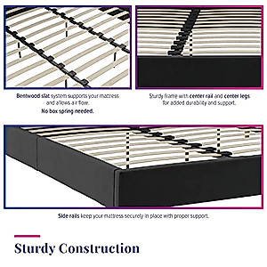 Novogratz The Her Majesty Upholstered Bed, King, Black Velvet