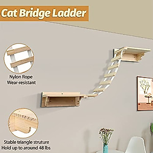 Cat Wall Shelves - Wall Mounted Cat Shelves Perches for Wall Cats Wall Furniture Climbing Shelves Cat Hammock Perches Scratching Post Cat Activity Tree Climbing Bridge Ladder Steps Indoor
