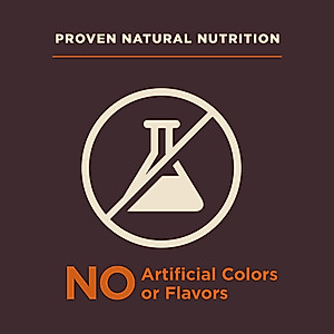 Wellness CORE Digestive Health Dry Dog Food with Wholesome Grains, Highly Digestible, for Dogs with Sensitive Stomachs, Made in USA with Real Chicken (Adult, 4-Pound Bag)