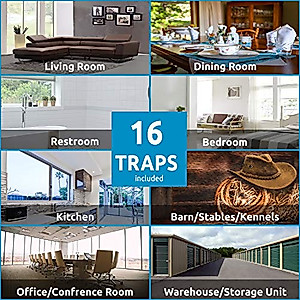 W4W Flies & Bug Window Fly Trap - Indoor / Outdoor Non Toxic Clear Window Fly Traps - 16 Pack