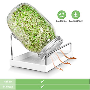 SBMKK Seed Sprouting Jar Kit - 2 Wide Mouth Mason Jars with 316 Stainless Steel Sprouting Lids Covers, Drip Tray and Stand for Growing Broccoli Alfalfa Beans Sprout (Two Jars)