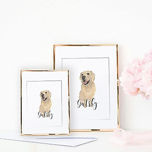 Canon PGI250 XL & CLI251 XL Compatible Replacement Ink Cartridges 5 Value Pack. Works Great with Canon PIXMA MX922, MG5520, MG7520 and More Printers (5 Pack Canon PGI 250 Ink)