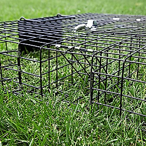 Rugged Ranch Squirrelinator 2 Door Small Metal Wire Pest Control Animal Cage Trap for Live Chipmunk, Squirrel, Rat, Mouse, and Rodent, Black