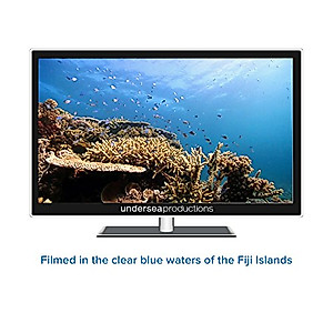 Reefscapes: Nature's Aquarium DVD, nature video of tropical fish and coral reefs filmed in the ocean, for relaxation and ambience