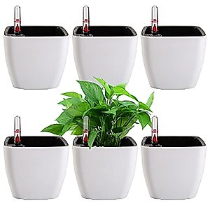 yarlung 6 Pack Self Watering Planter with Water Level Indicator, 5 Inch Plastic Plant Flower Pots Nested Container for Indoor Plants, Herbs, Aloe, Outdoor Gardening
