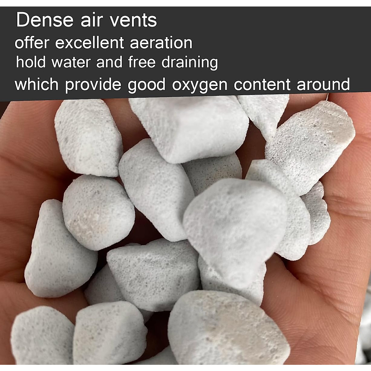 10QT Organic Perlite Horticultural Soil Amendment for Plants and Enhanced Drainage Enhanced