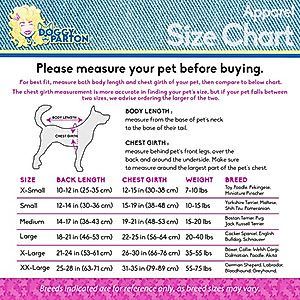 Doggy Parton Pink Cowgirl Collared Dress - S