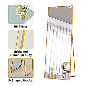 Z ZemXHhui Full Length Mirror, Wall-Mounted Full Body Mirror with Aluminum Alloy Thin Frame, Decorative Mirror for Bedroom Living Room Bathroom, 65"x23.6", Gold