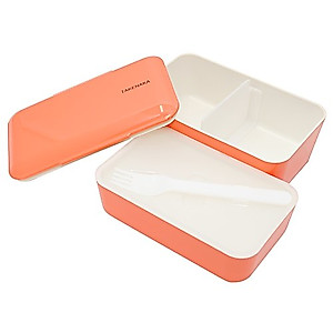 TAKENAKA Bento Bite Dual from, Eco-Friendly and Sustainable Japanese Style Bento Lunch Box (Tangerine Orange)