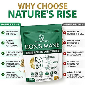 Lions Mane Mushroom Powder Organic Supplement - (USA Grown), Fruiting Body Extract, Nootropic Brain Supplement for Focus & Memory Support, Creativity, Brain Booster | 3.5 Ounces (50 Servings)