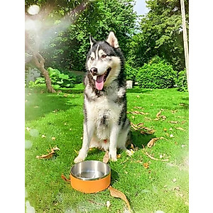 IKITCHEN Dog Bowl for Food and Water, 64 Oz Stainless Steel Pet Feeding Bowl, Durable Non-Skid Double Wall Insulated Heavy Duty with Rubber Bottom for Medium Large Dogs (64 Ounces/8 Cup, Orange)