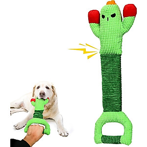 IOKHEIRA Dog Toys for Aggressive Chewers-Dog Toys for Large Dogs, Tough Durable Indestructible Dog Toys, Big Dog Chew Toys and Large Breeds (Large, Cactus)