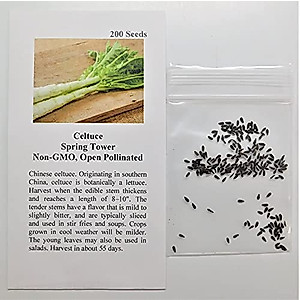 David's Garden Seeds Celtuce Spring Tower FBA-3272 (Green) 100 Non-GMO, Heirloom Seeds