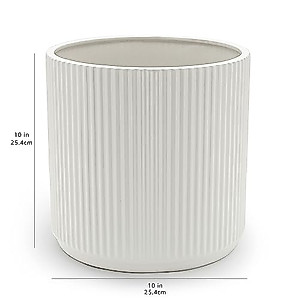 Amazon Basics Fluted Ceramic Round Planter, 10-Inch, White