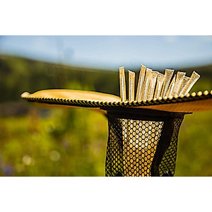 The Honey Jar Plain Raw Sticks - Pure Straws For Tea, Coffee, or a Healthy Treat - One Teaspoon of Flavored Honey Per Stick - Made In The USA with Real Honey - (100 Count)