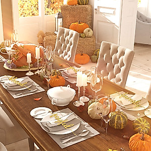 Marsui 12 Pieces Thanksgiving Acrylic Cutouts 6 Patterns Thankful Plate Sign Place Cutouts Grateful Blessed Gather Fall Plate Decors for Thanksgiving Table Decor Home Party(Vivid Style,Gold)