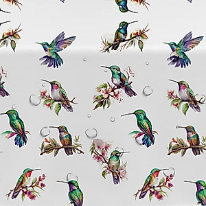 APOWBLS Hummingbird Birthday Party Decorations Tablecloth - Disposable Bird Hummingbird Party Supplies Table Cover, Floral Hummingbird Bridal Baby Shower Wedding Table Cloth - 3 Pack (54in x 108in)