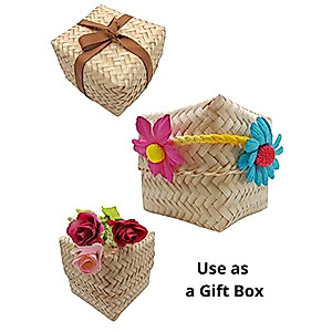 FOREVER 1 – Sticky Rice Basket 3.5 (3) x 3.5 (3) Inches, Kratip Bamboo Steamed Sticky Rice Container, Thailand Handmade Serving Basket, Original Bamboo Color, Thai and Laos Kratib for Home, Restaurant