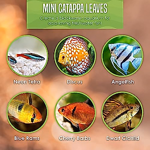 SunGrow 50 pcs Catappa Indian Almond Leaves for Betta Fish Tank Aquarium, 2” Water Conditioner Leaves, Leaf Also Suitable for Shrimp, Goldfish, Guppy and Frogs