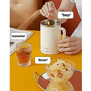 400ML Teapot Health Pot Electric Tea Pot Portable ​Mini Multi Cooker Electric Kettle Household Filter Teakettle Temperature Control Kettle Flower Teapo Fast Boiling Heat Preservation Function A,4