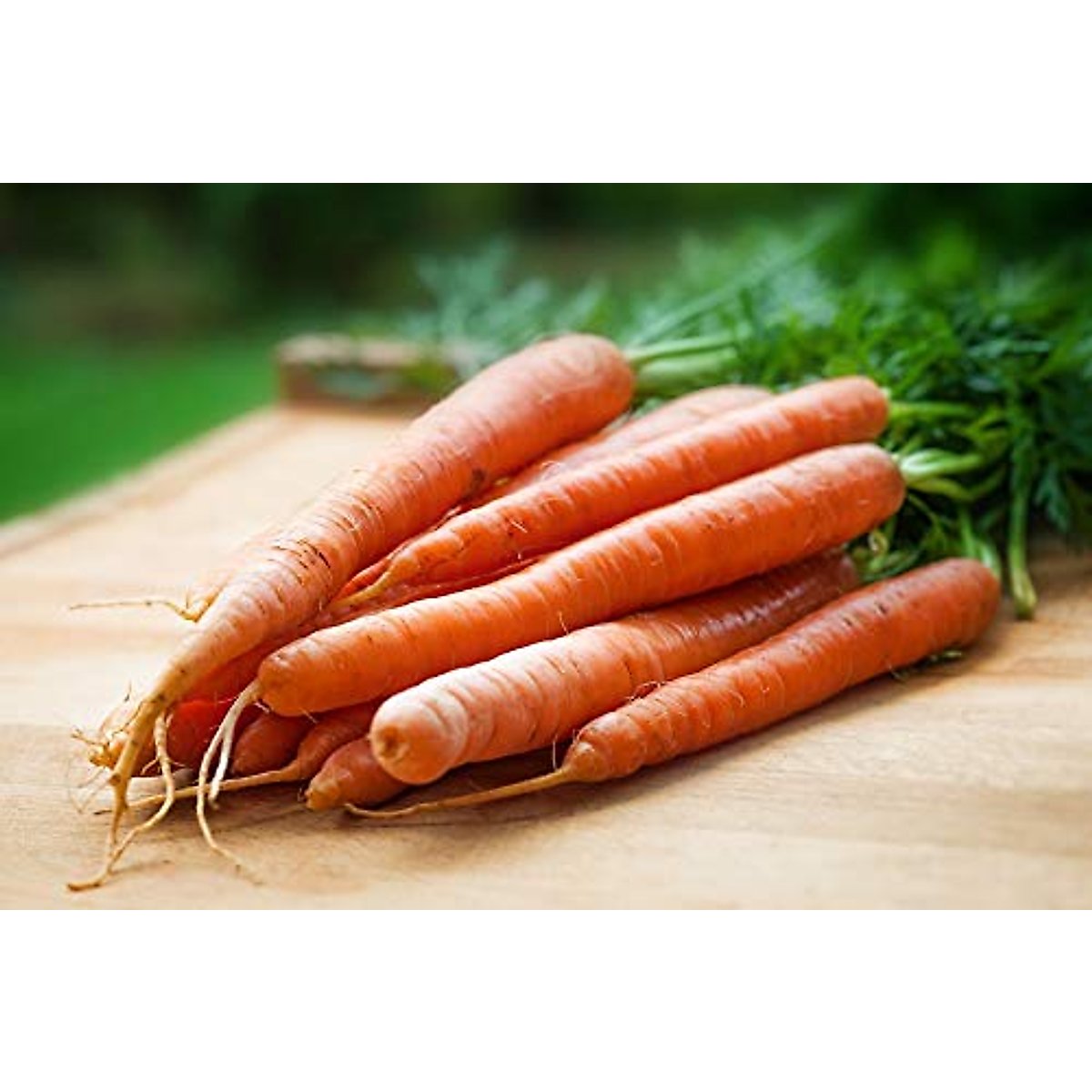 Gaea's Blessing Seeds - Carrot Seeds - Tendersweet - Non-GMO Seeds with Easy to Follow Planting Instructions - Heirloom Net Wt. 1.5g Germination Rate 91%