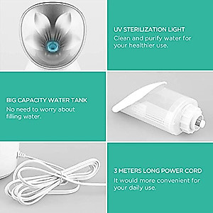 VOYOR Facial Steamer for face Professional - Nano Ionic hot Mist Face Steamer for Facial Deep Cleaning Pore, Blackhead Removal, Home Mini Sauna Spa Moisturize Skincare kit ZL100 US (110)