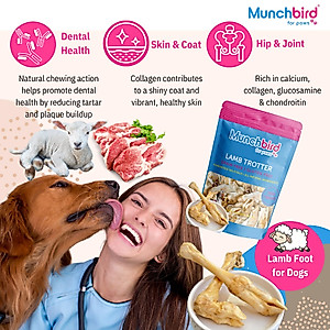 Lamb Trotter Dehydrated Dog Treats Glucosamine Lamb Treats for Dogs Chondroitin Hips and Joints Lean Hypoallergenic Protein Rawhide Free Safe Bones Alternative to Duck Feet Lamb Ears (12 to 16 Pieces)