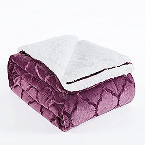 L'AGRATY Sherpa Throw Blankets, Plush Warm Throw Blankets for Adults, Microfiber Soft Throw Blanket for Bed, Fleece Throw Blanket for Couch (50 * 60 inches, Purple)