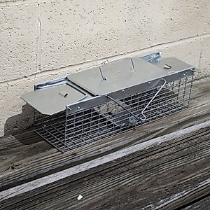 Havahart 1025 Small 2-Door Humane Catch and Release Live Animal Trap for Squirrels, Chipmunks, Rats, Weasels, and Small Animals