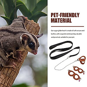 Balacoo Sugar Glider Rope Small Dog Leash Puppy Leash 1 Set Sugar Glider Traction Rope Outdoor Sugar Glider Harness Hauling Rope Bunny Harness Rabbit Harness