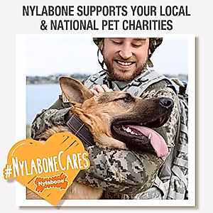 Nylabone Rubber Camo Bone Strong Chew Dog Toy Duck Medium/Wolf (1 Count)