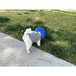 Comfortable & Adjustable Inflatable Pet Collar - Alternative to Cone Shaped Collars - Great for Post-Surgery or Injury Recovery - Durable & Non-Toxic Material -Snug Fit (Large 12-18 in.)