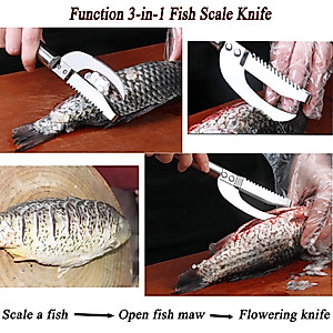 ZLMC Stainless Steel Fish Maw Knife, Multifunction Fish Scale Knife fish scale remover Household Kitchen Fish Scale Tool