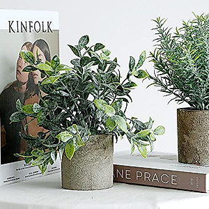 Gleenwave Artificial Plants 3 Potted Mini Fake Plants Artificial Eucalyptus Decorative Plants for Home Decor Indoor Room Table Office