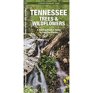 Tennessee Trees & Wildflowers: A Folding Pocket Guide to Familiar Plants (Nature Observation North America)