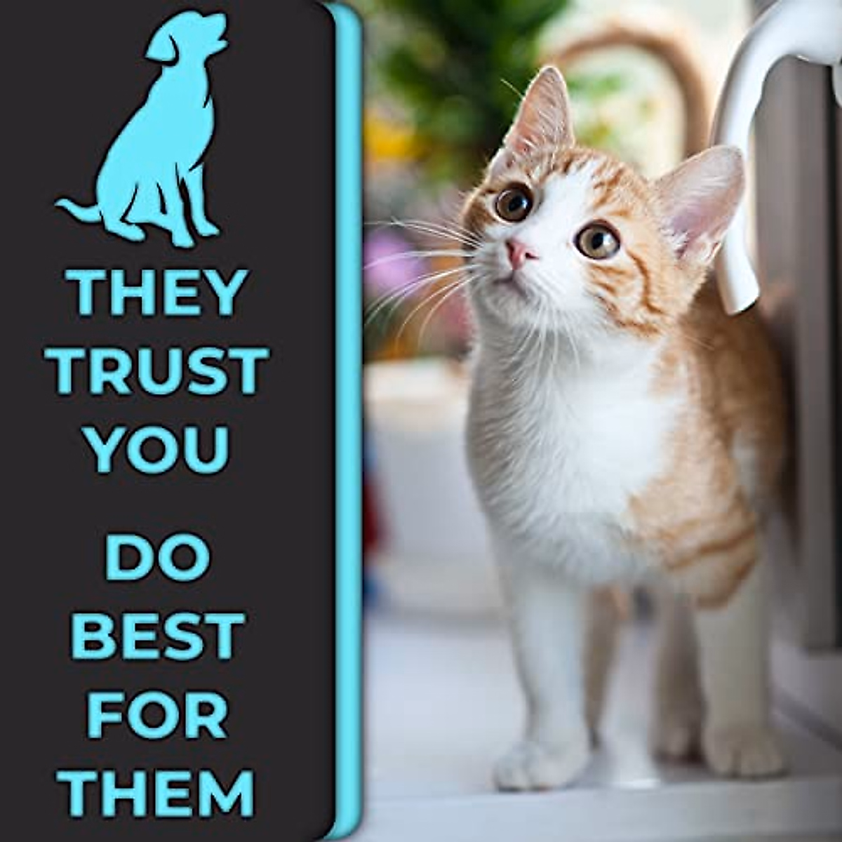 H&H Pets Nail Clippers Series - for Cats and Dogs - Razor Sharp Blades Sturdy Non Slip Handles - Dog Accessories Professional at Home Grooming - Stainless Steel - Dog Nail Trimmers - XS (Cats & Birds)