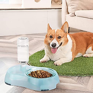 BINGPET Small Dog Bowls - Water and Food Bowl for Cat Dog - Slow Feeder Pet Bowl, Automatic Water Dispenser Detachable Feeder Bowls for Puppies and Cats