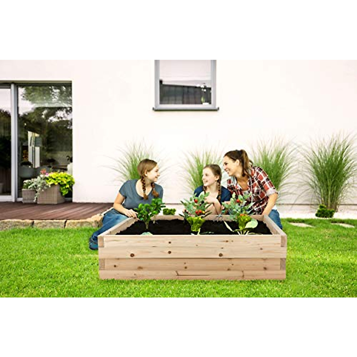 Cedar Raised Garden Bed Kit - Fast Assembly, No Tools Needed - 1.5" Thick Boards - (94.5" x 48" x 12") - Naturally Rot-Resistant Wood – by Boldly Growing
