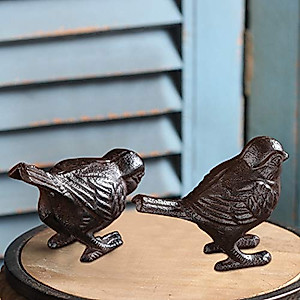 BRASSTAR Rustic Cast Iron Bird Statue Farmhouse Home Garden Decor Collectible Figurines Gift Replica Rust Color a Pair of Birds PTZD053