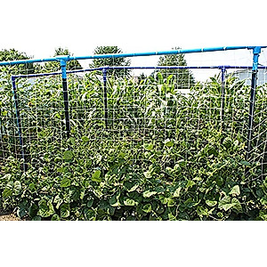 Toolazy Soft Mesh Nylon Trellis Netting Bulk Roll - 6.5 x 350 ft Heavy-Duty Garden Netting for Climbing Plants,Garden Melons Vegetables, Grape Racks, Hydroponic