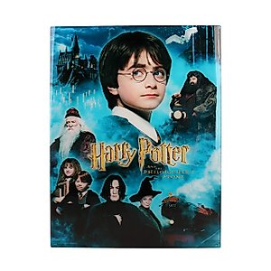 Harry Potter - Impression en Verre - Philosopher's Stone - 30X40 Cm