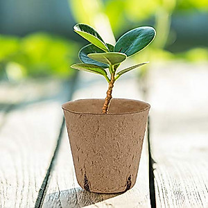 winemana 100 Pack Seed Starter Tray Kit, Biodegradable Peat Pots for Seedling with 100 Plant Labels, Plant Garden Germination Tray for Flower Vegetables Succulents (3" x 3")