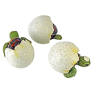 Design Toscano QM2562500 Out of the Shell Baby Turtle Triplet Statues,Full Color
