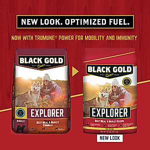 Black Gold Explorer Beef Meal & Barley Recipe Dry Dog Food