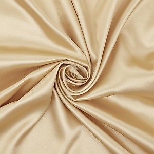MLMW Christmas Champagne Satin Fabric 3 Yards 60" Wide Silky Charmeuse Satin Fabric by The Yard Continuous Fabric for Halloween Wedding Dress, Thanksgiving Party Decorations, Sewing, Backdrop