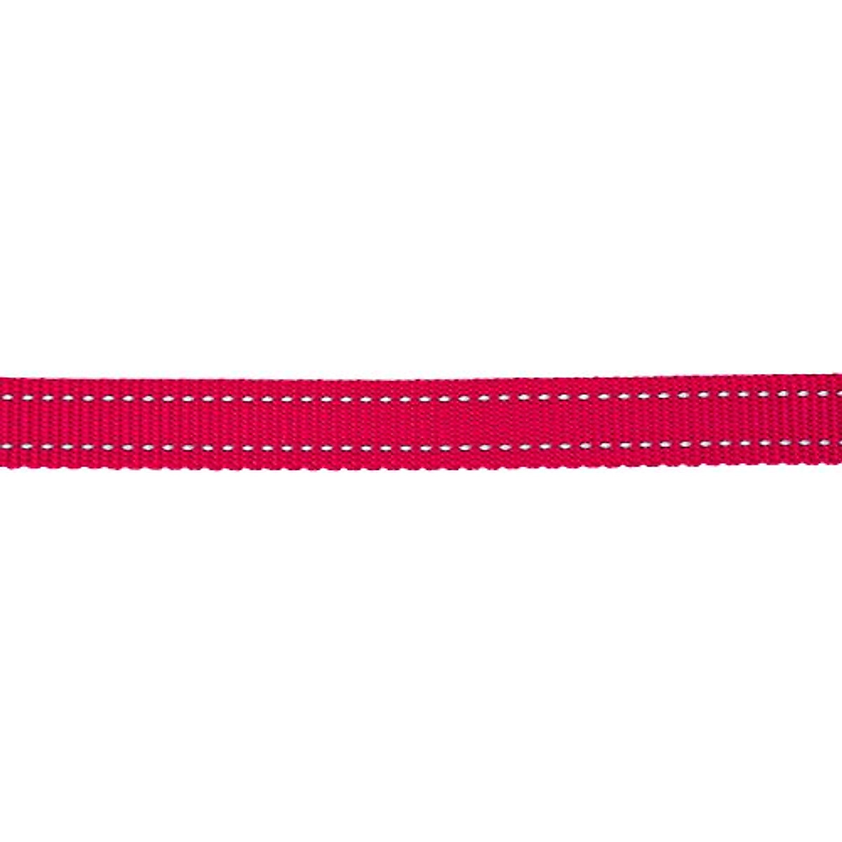 PetSafe Sport Leash, Durable Nylon Leash with Unique Padded Hand Wrap Handle to Help Keep Hands Free for Running or Walking, for Dogs up to 75 lb., Red